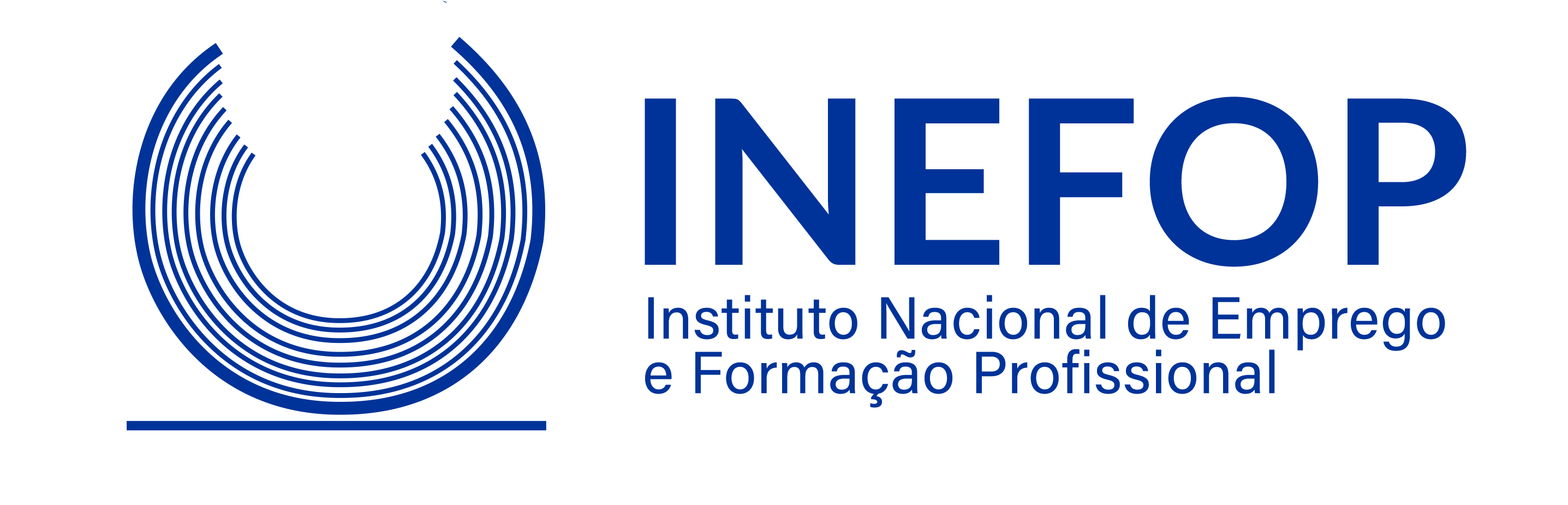 Instituto Nacional de Emprego e Formação Profissional